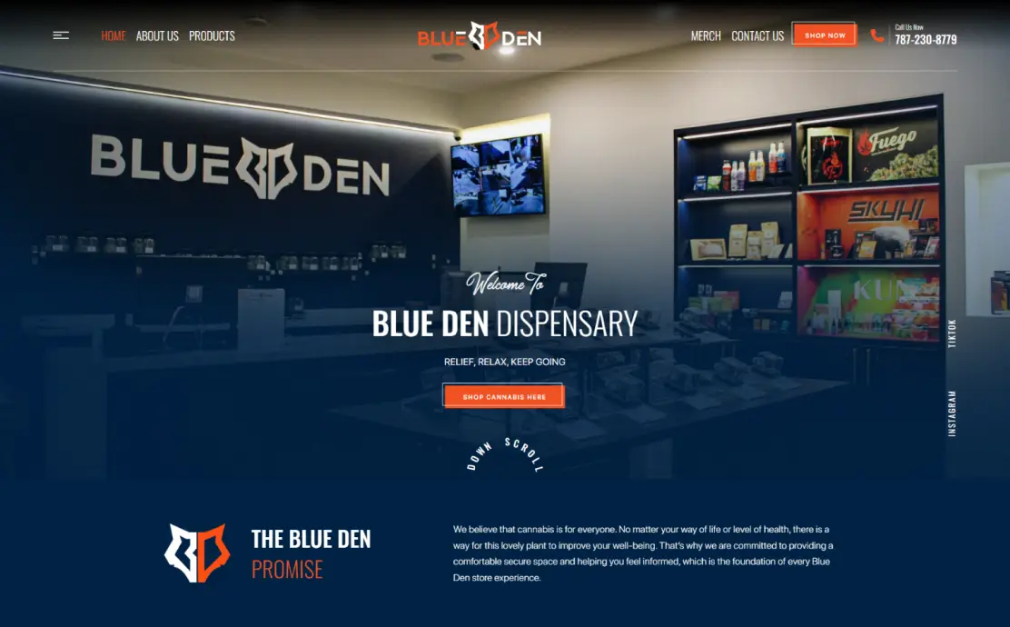 Encircle Technologies Pvt. Ltd. | Leading IT Services Provider